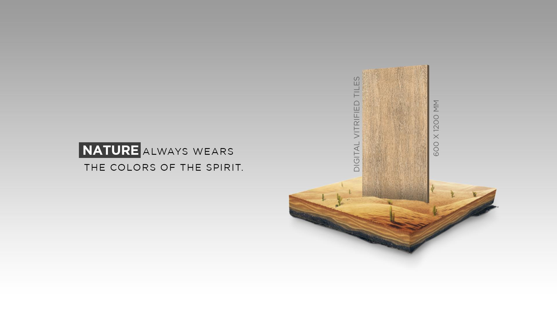 Orion Corporation | A leading manufacturer and exporter of Ceramic Tiles.